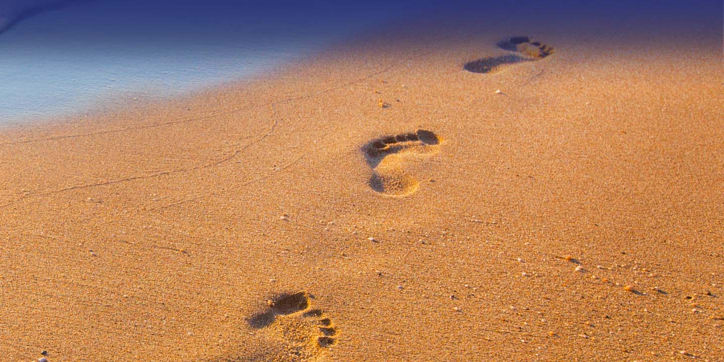 Process - Del Mar Wealth Management